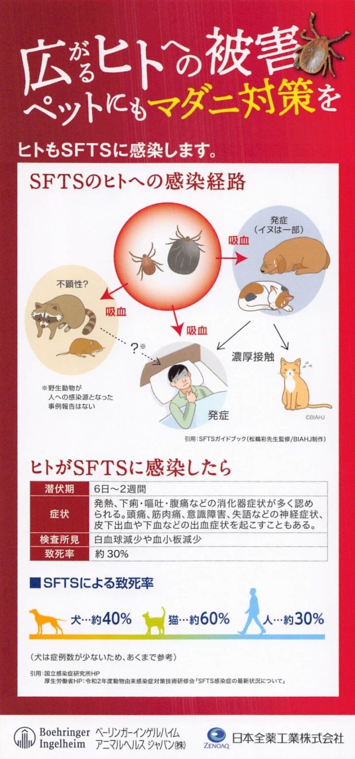 マダニ、SFTSにご注意|あいづま動物病院|刈谷市・大府市で犬・猫・小動物の診療に対応